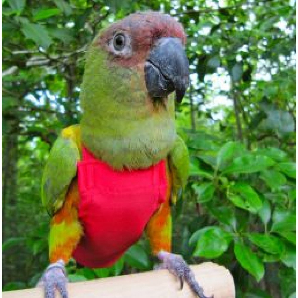 Avian Flight Suits at Jordan Timperley blog
