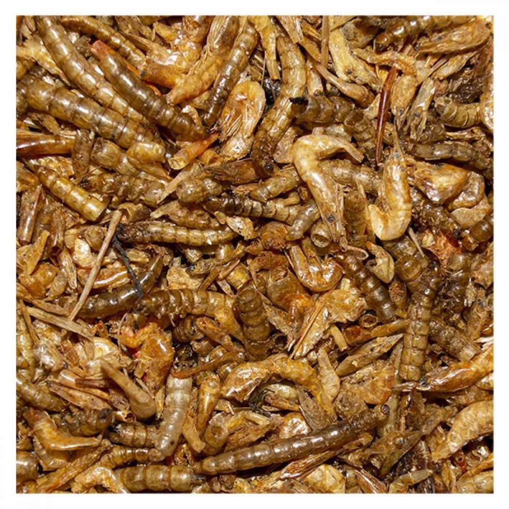 Dried Meal Worms - 124905